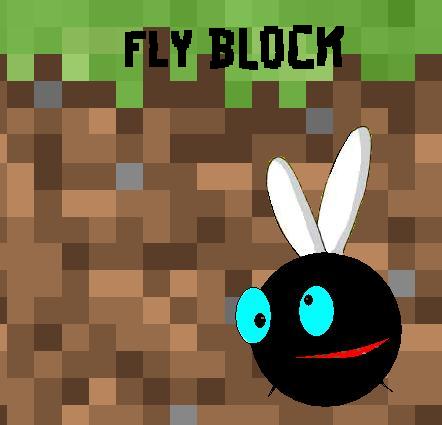 Fly Block